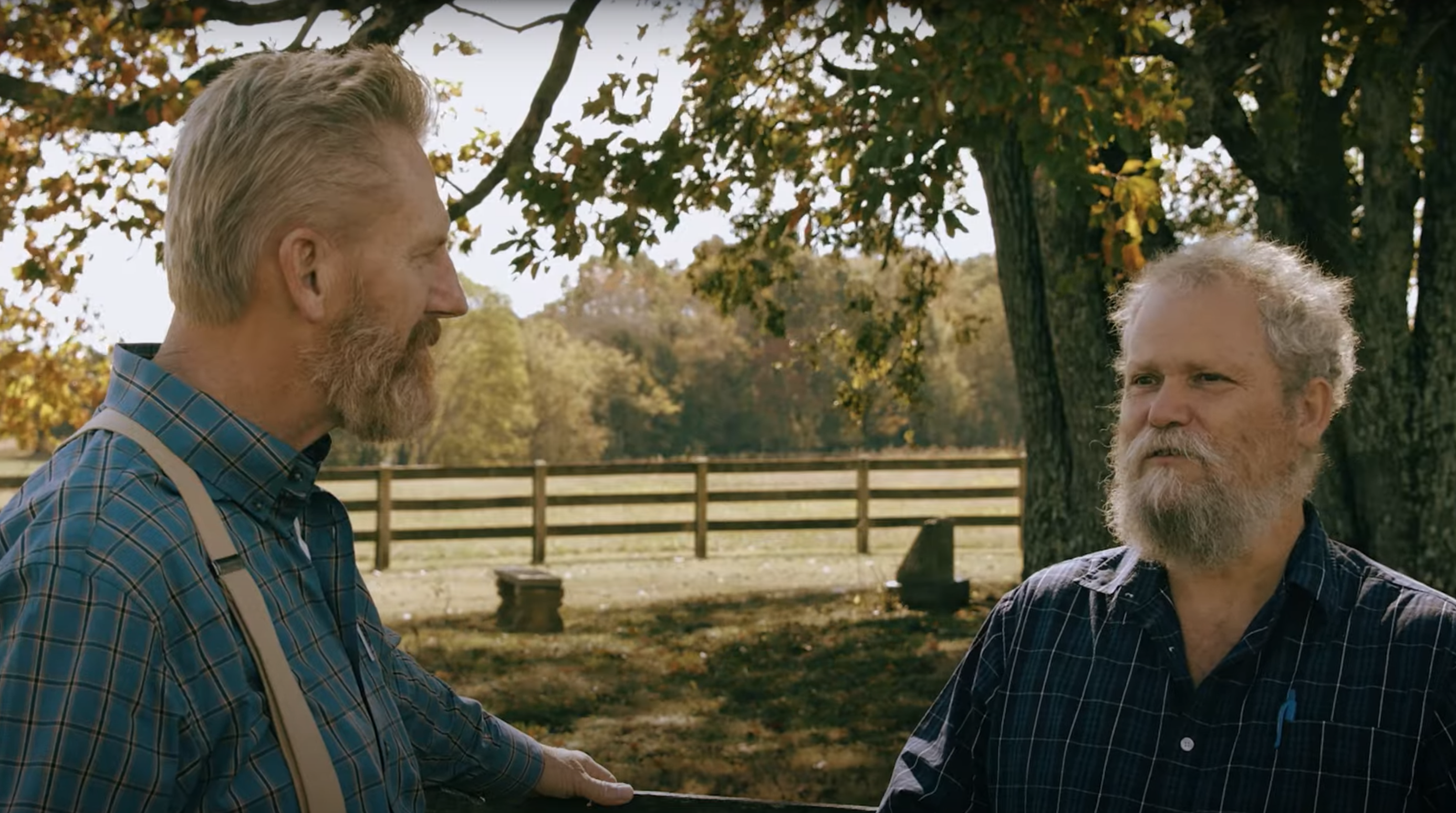 Azure Life - Search - Azure Standard