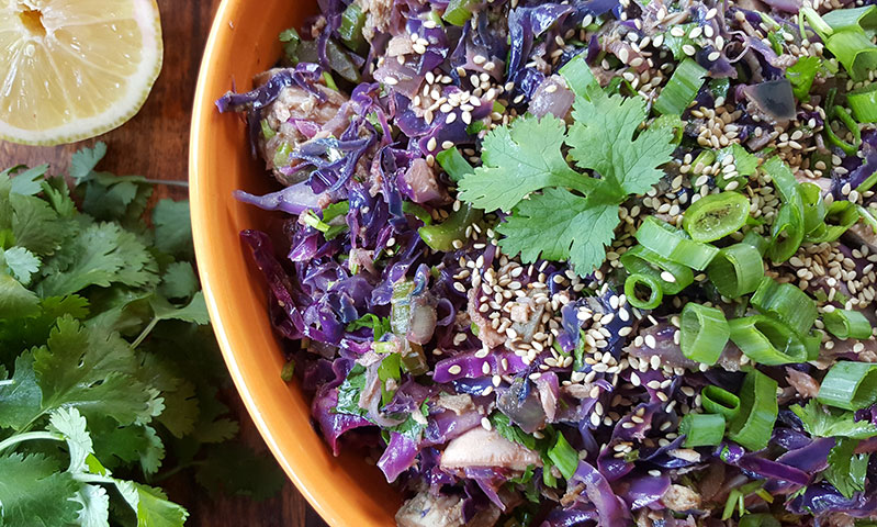 Easy Red Cabbage Salad with Warm Tuna Recipe - Azure Standard