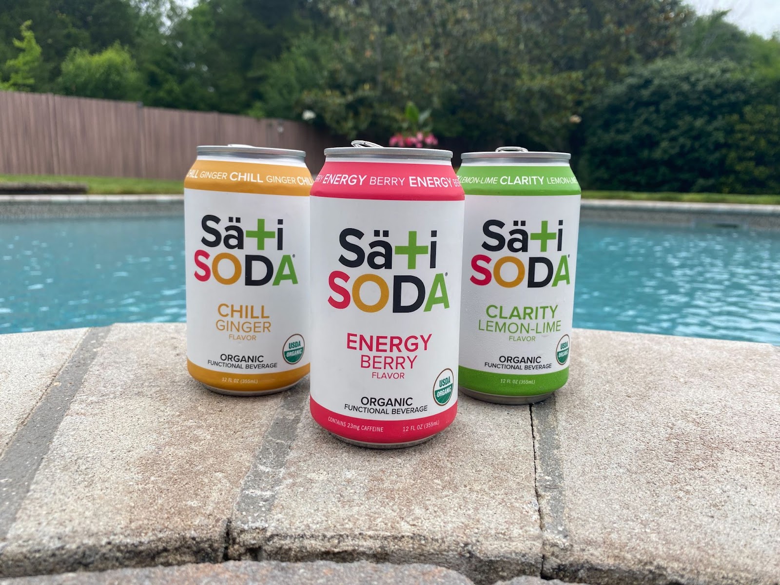 Sati Sodas are Super Delicious — and Super Healthy! - Azure Standard
