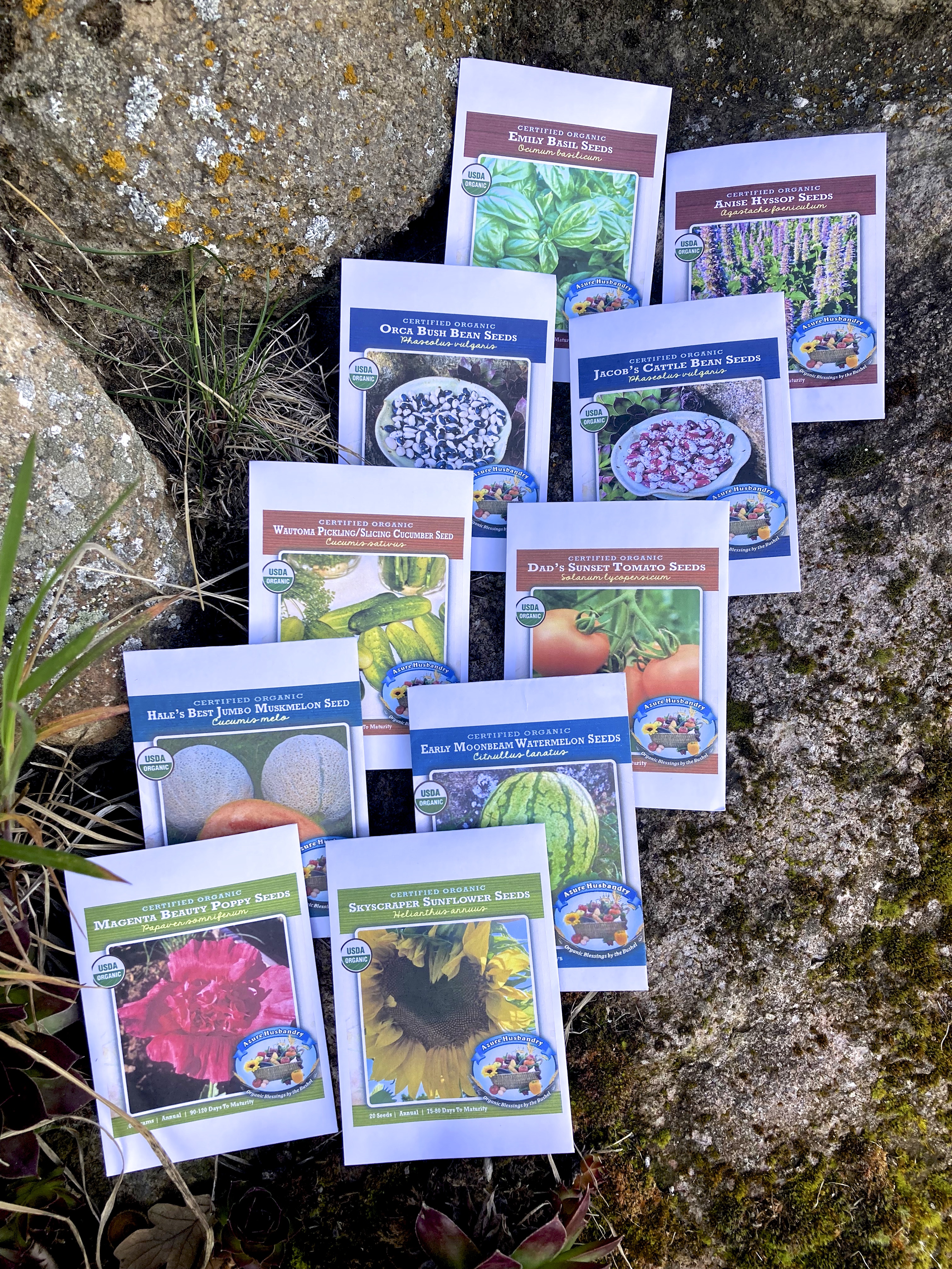 David's Corner: Understanding Your Seed - Azure Standard