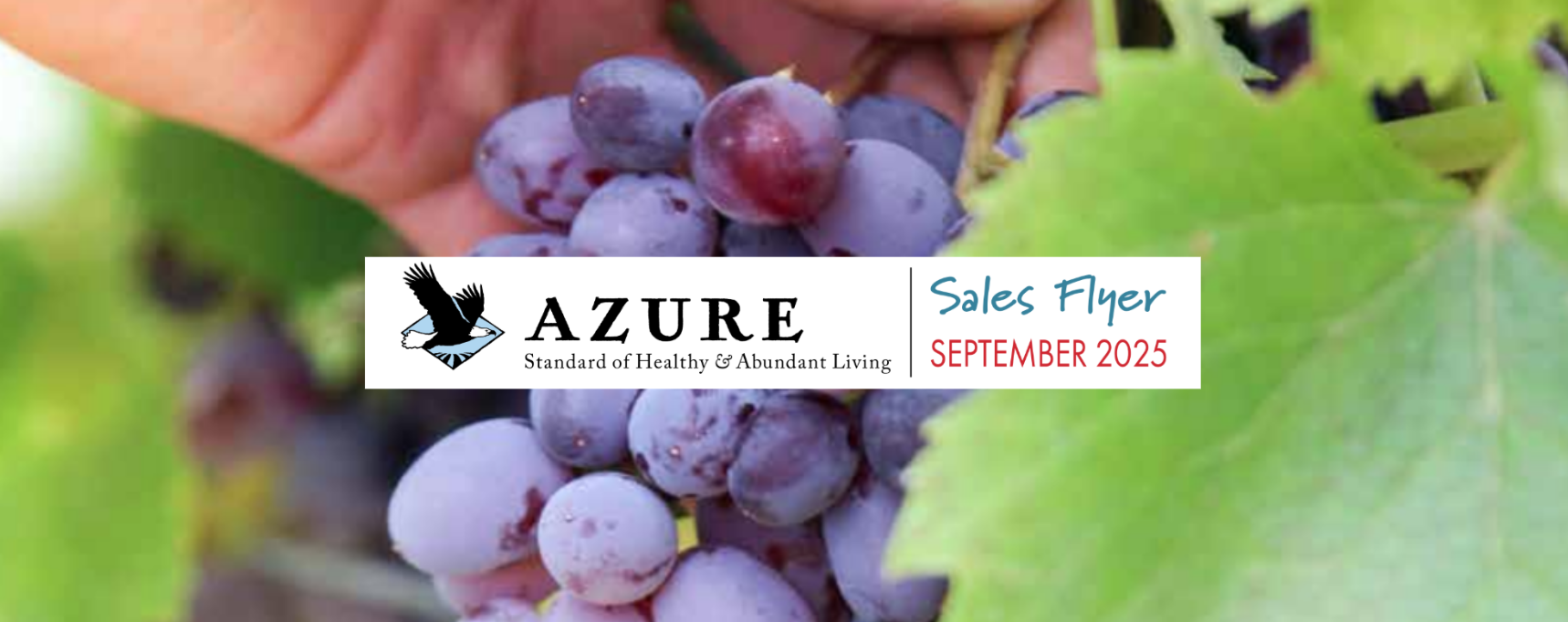 Azure Standard - Azure Standard