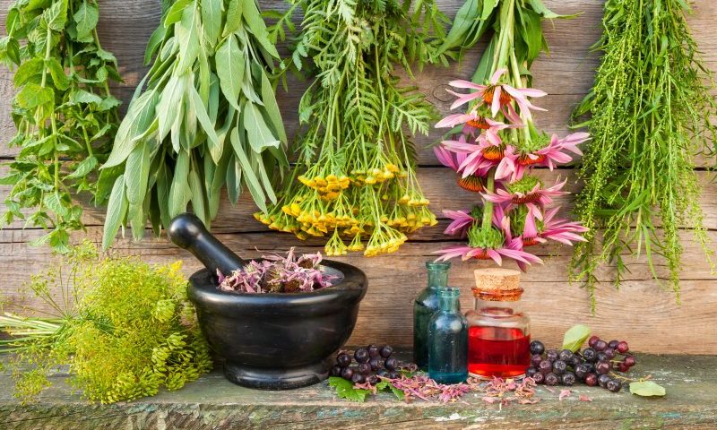 Rhea's Herbal Extractions: Pure & Effective Remedies for All Ages ...