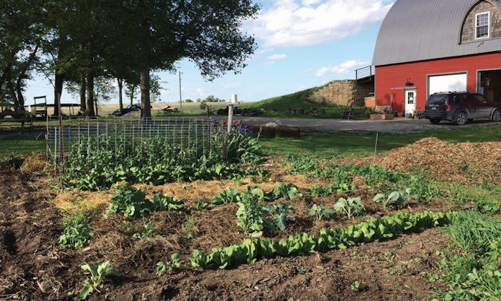 10 Ways to Nurture Your Garden in the Spring - Azure Standard