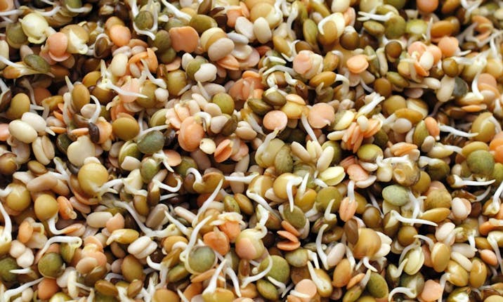 5 Mistakes You Might Be Making When Cooking Lentils - Azure Standard