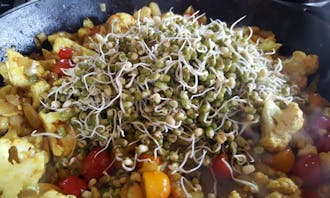 How to Sprout Mung Beans & Make a Warm Mung Salad - Azure Standard