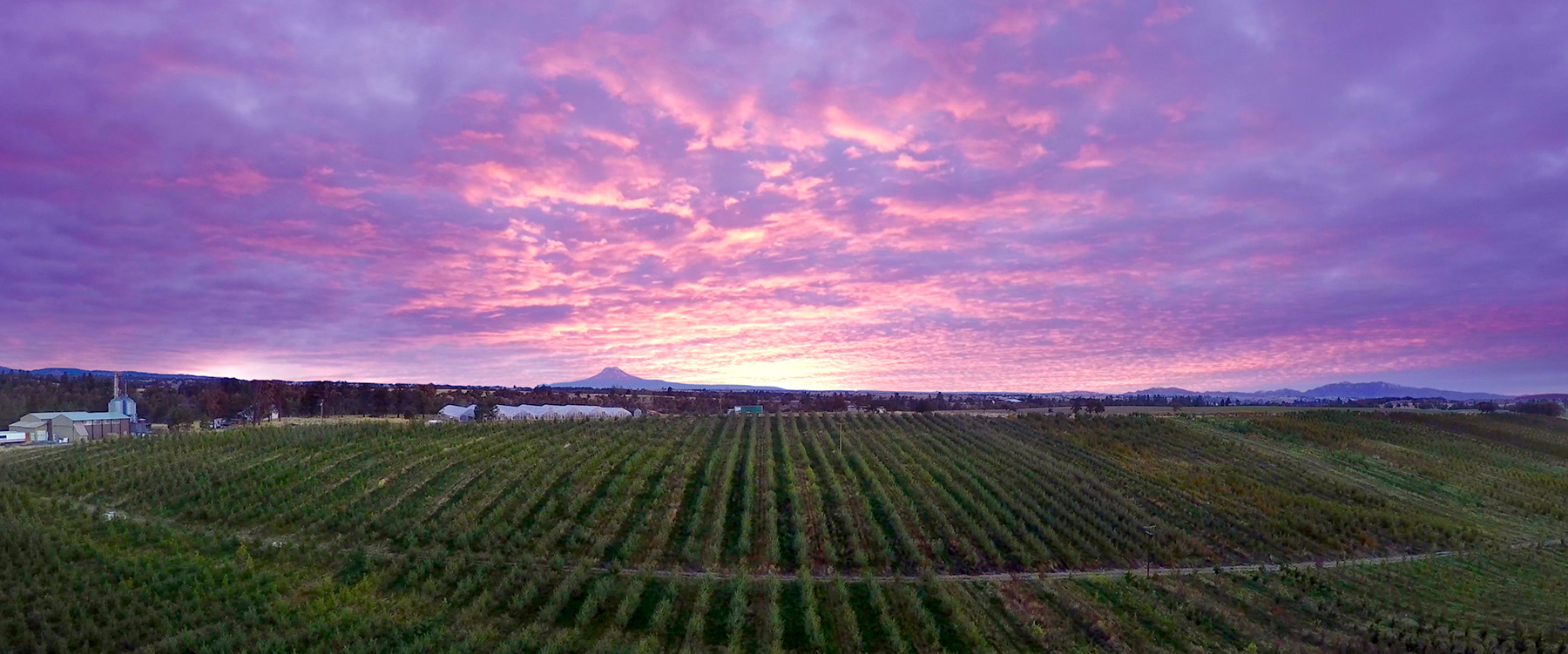 Home - Azure Standard