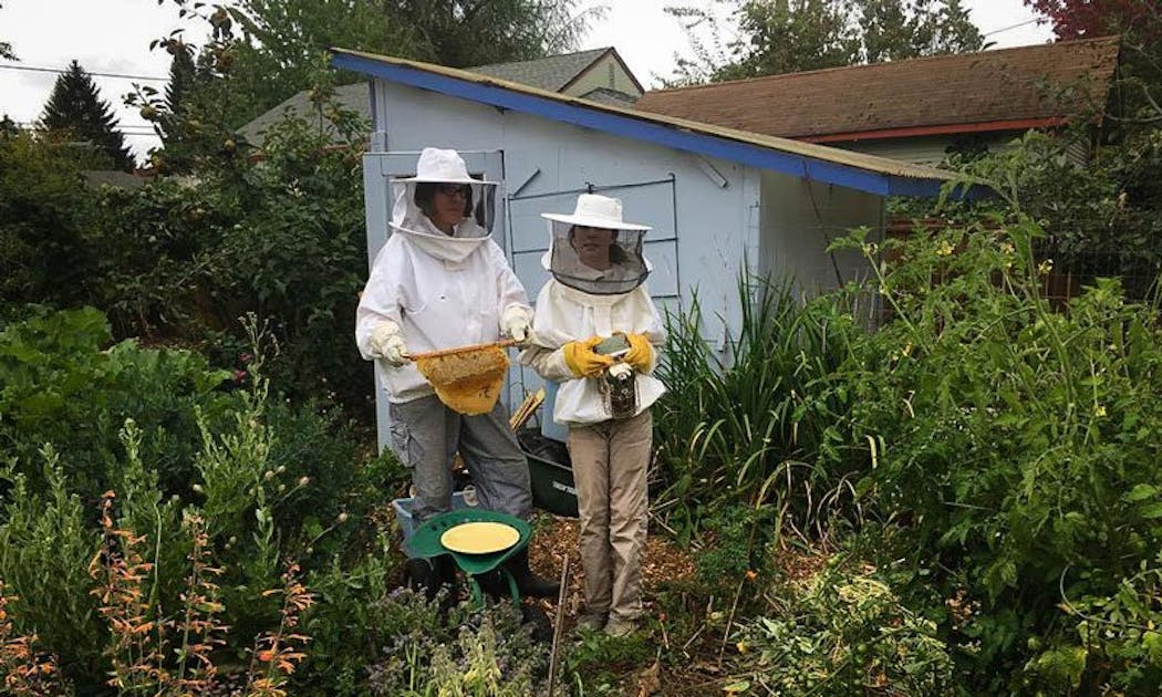 What a Natural Beekeeper Does Each Month of the Year - Azure Standard