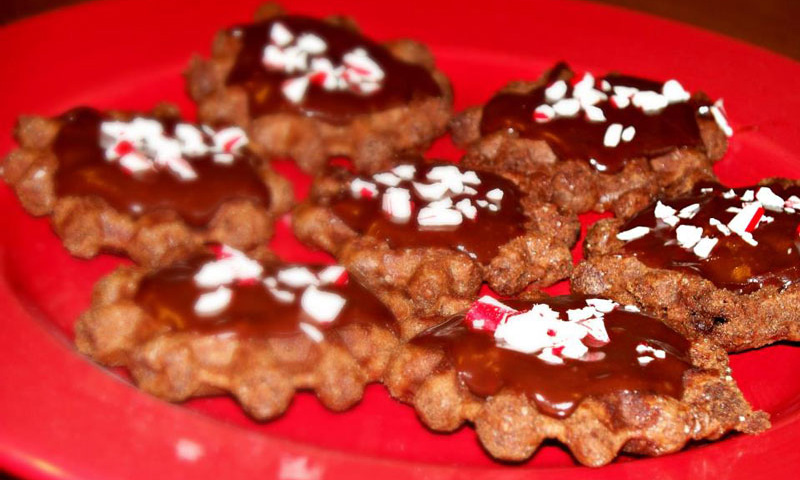 Turtle Cookies Holiday Cookie Contest Finalist - Azure Standard