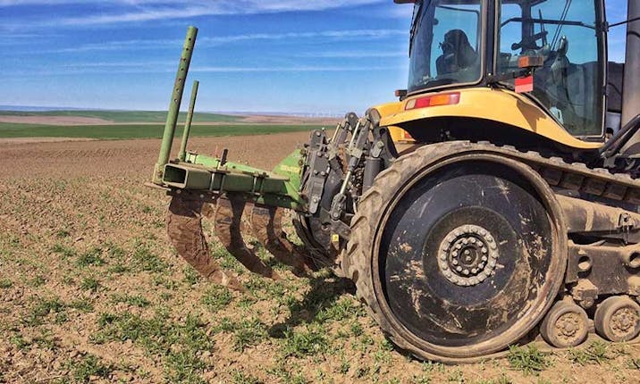 Ripping Weeds at Azure Farm Moro: June 6, 2017 - Azure Standard