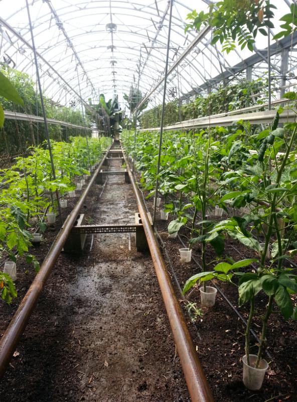 Azure Farm History and Timeline - Azure Standard